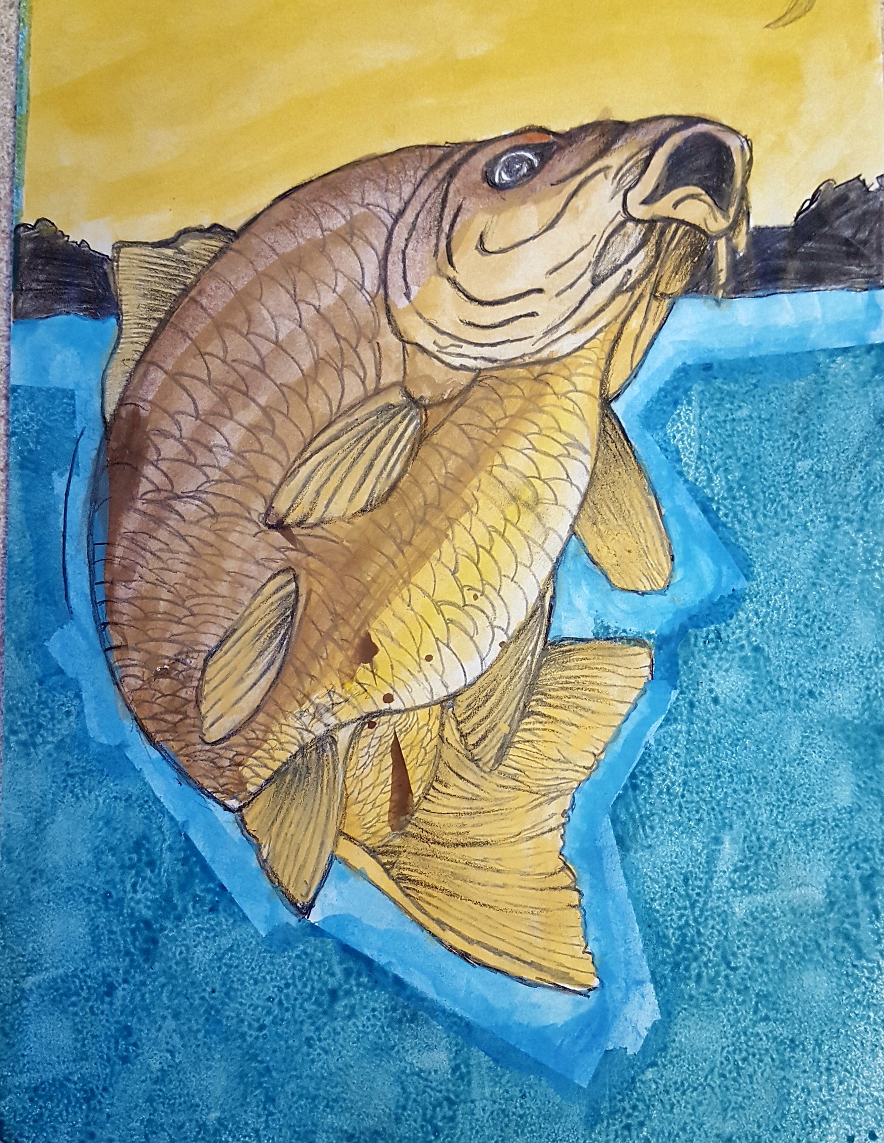 Super Student Sam's Story of Amazing Angling and Artwork! - Angling Trust