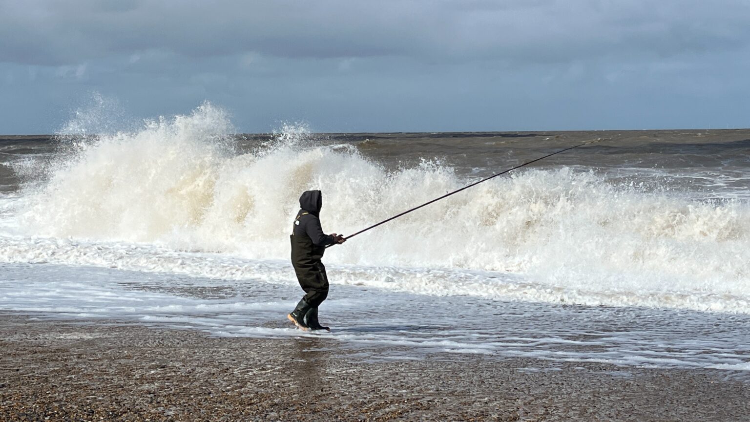 Joint Fisheries Statement: What Sea Anglers Need to Know - Angling Trust