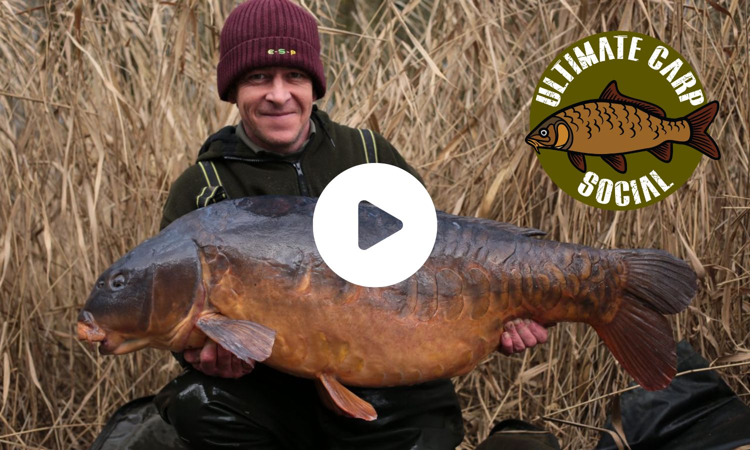The Ultimate Carp Social 2024 - Angling Trust